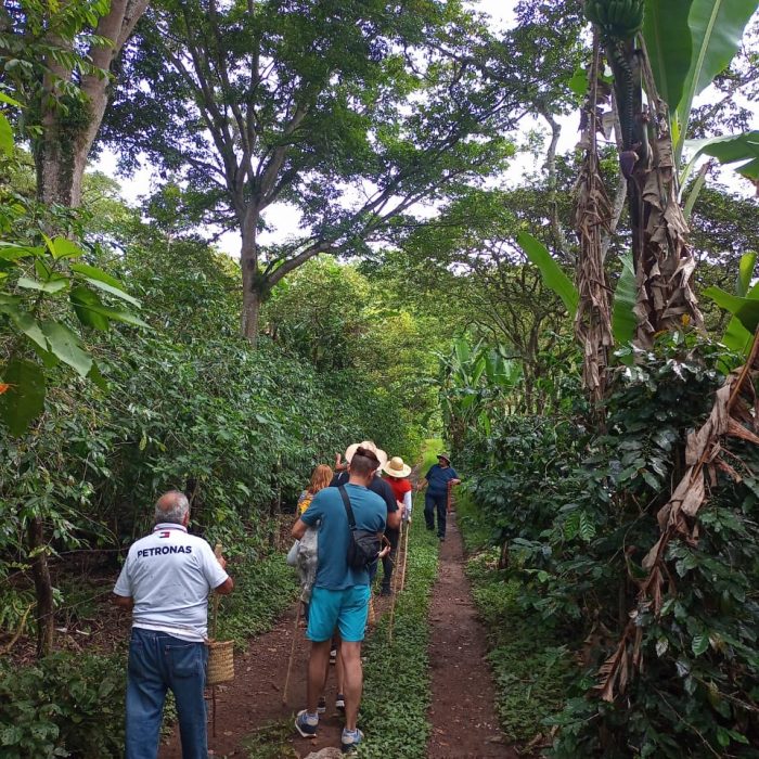 Tour Senderos del Café - Sendero Travel