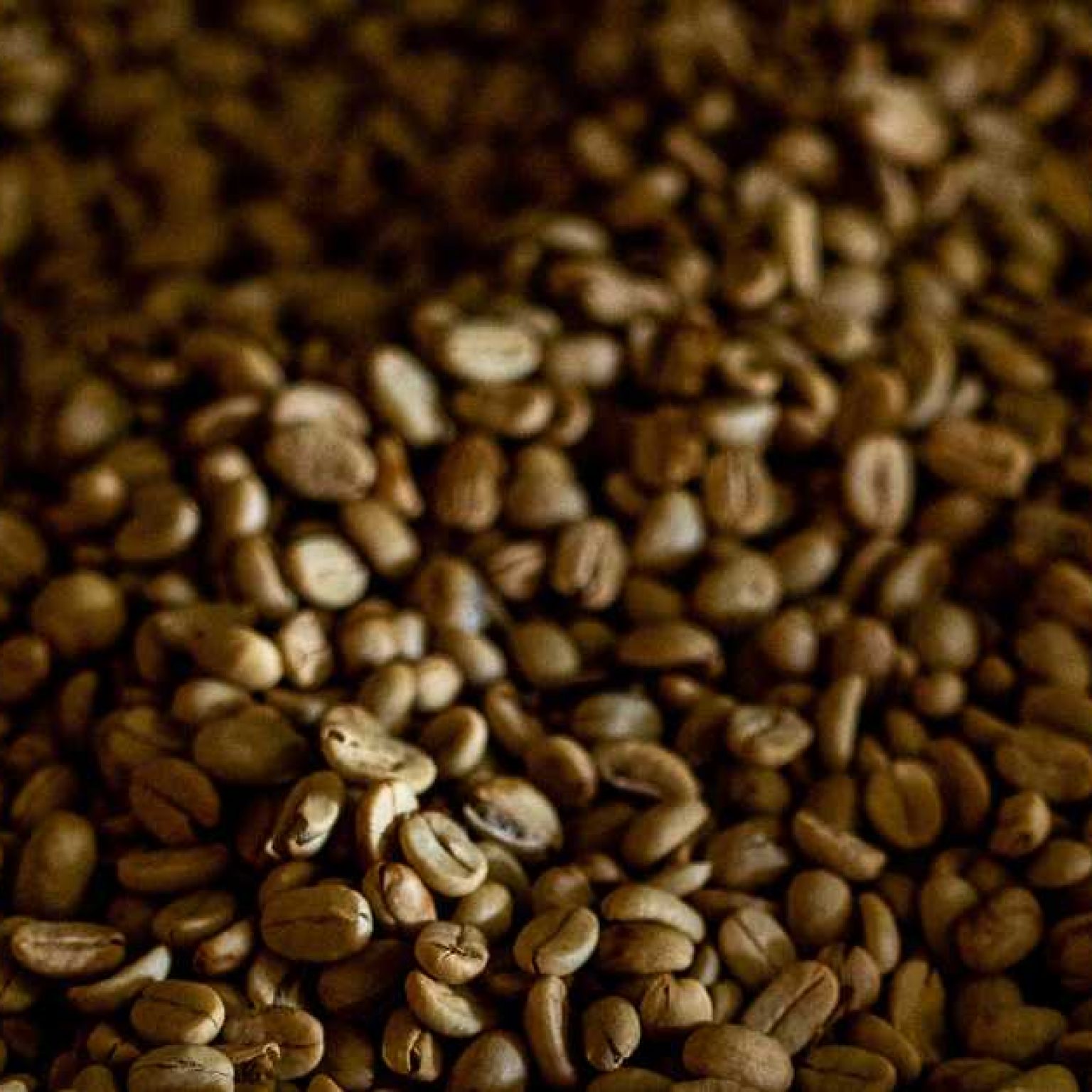 Paquete Ruta del Café Coatepec - Sendero Travel